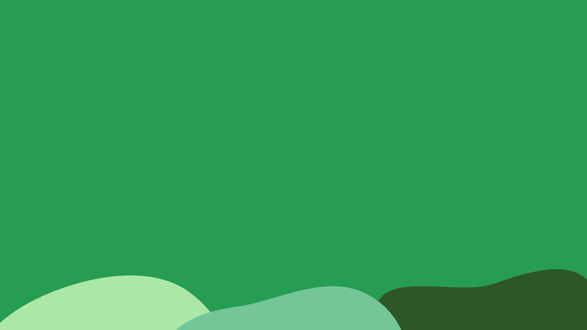 Opus Asset Management | Specialist in Fixed Income Investment